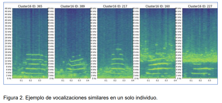 Conociendo al manatí en Costa Rica: conservación basado en ...